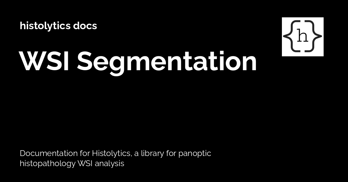 WSI Segmentation - histolytics docs